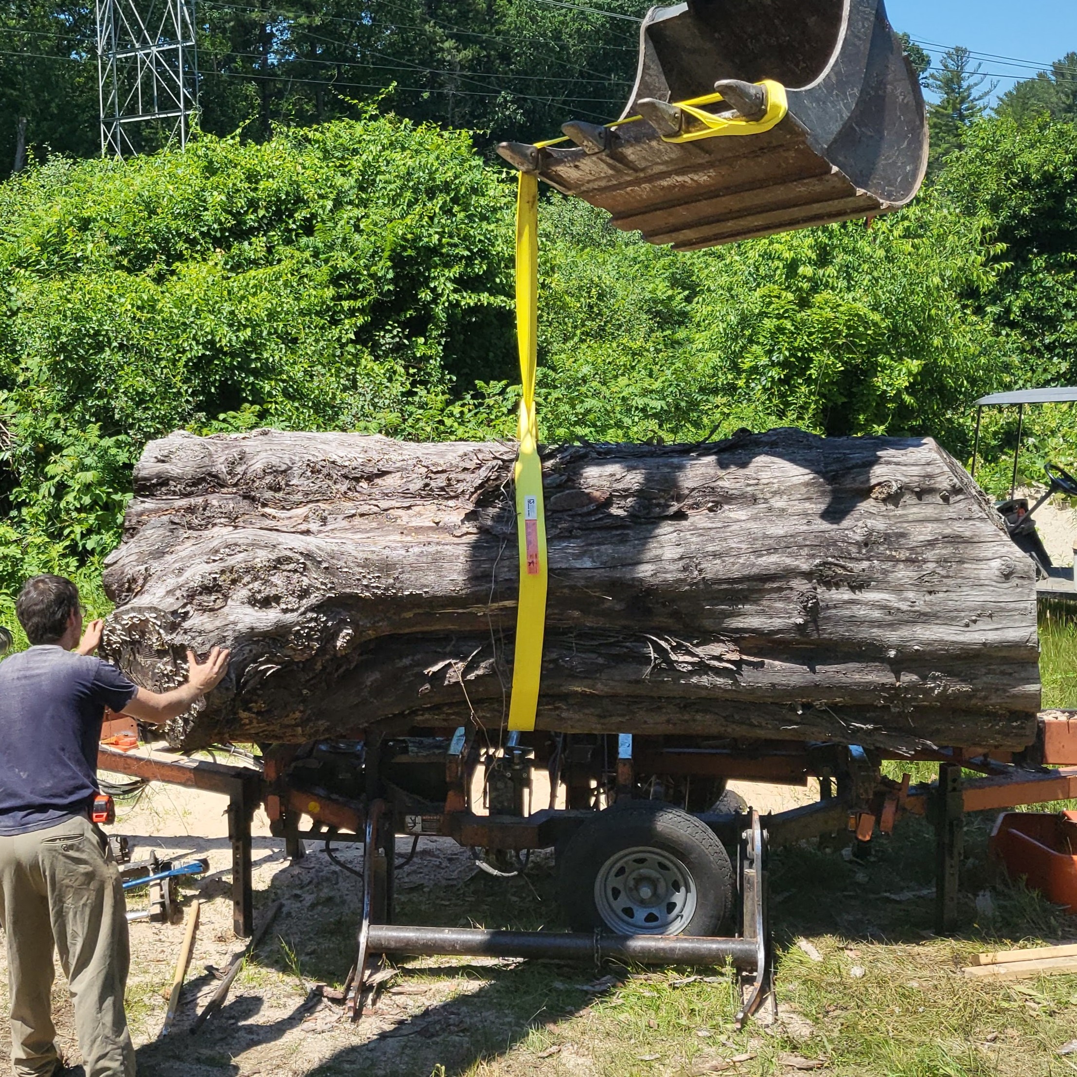 Old Ballfield Spalted Maple Log – Wolf Tree Wood
