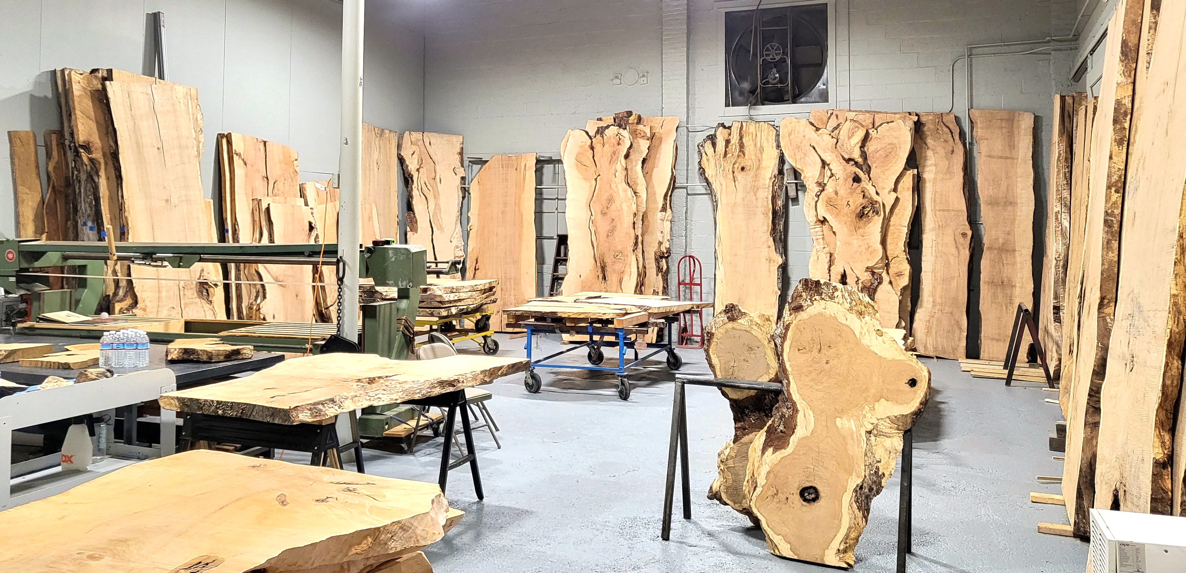 Wolf Tree Wood