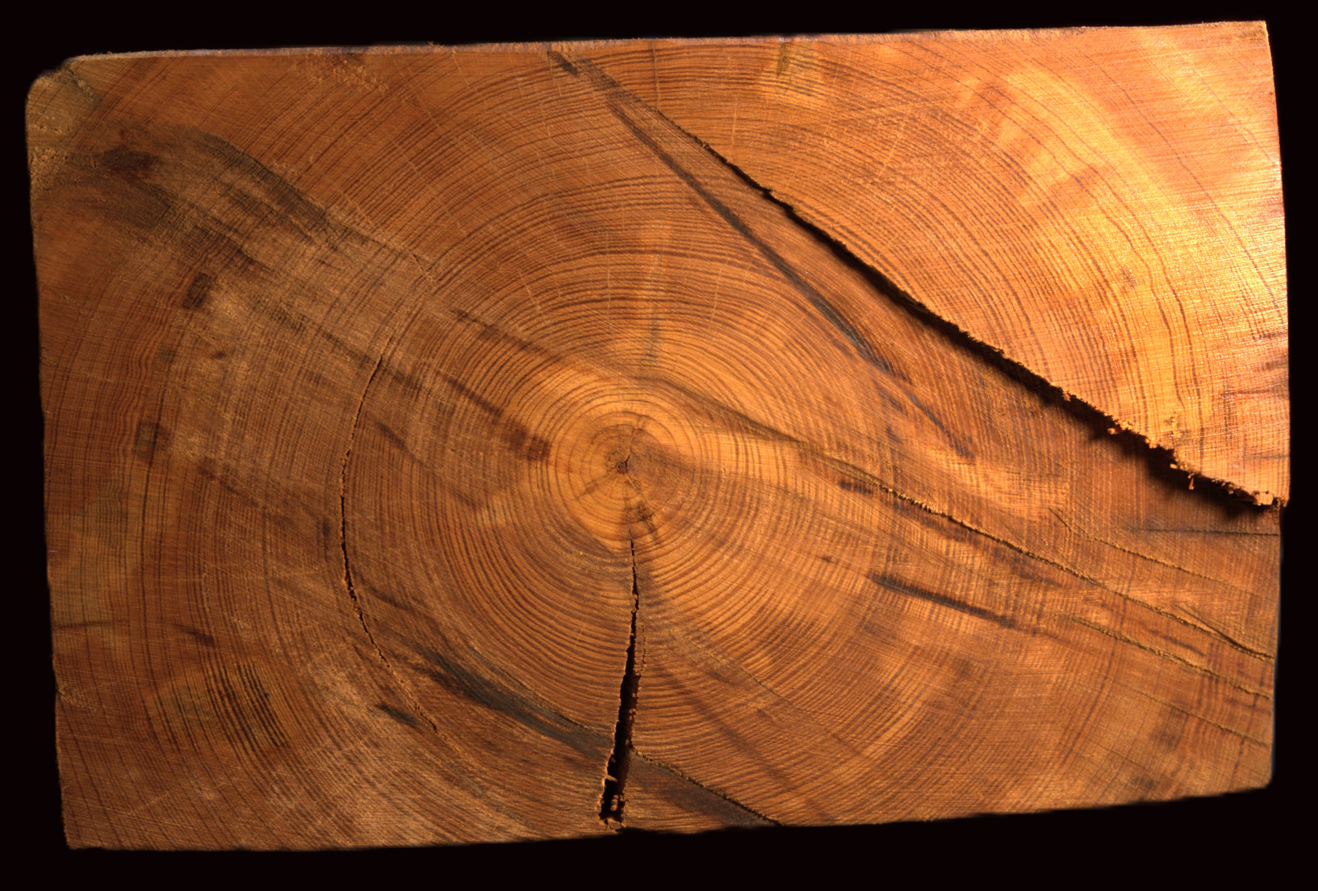 Lawrence Mill Beams – Wolf Tree Wood